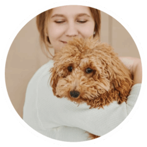 Cloutify – Grow Your TikTok!